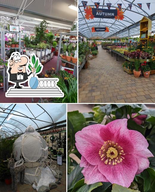 Strikes Garden Centre, Stokesley - Restaurant menu, prices and reviews