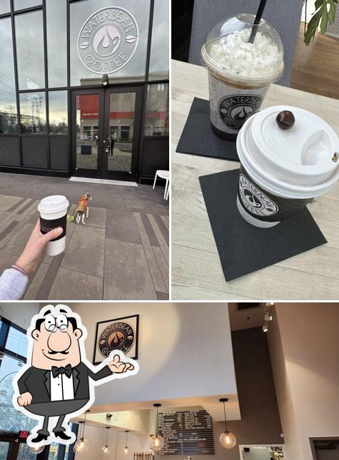Waterbean Coffee, Charlotte - Restaurant menu, prices and reviews