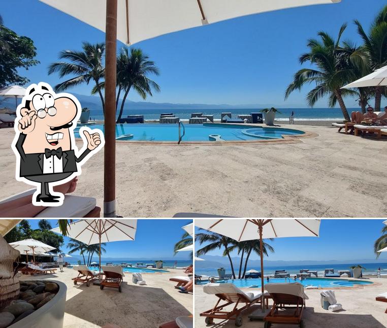 Táu Beach Club, Puerto Vallarta - Restaurant menu, prices and reviews