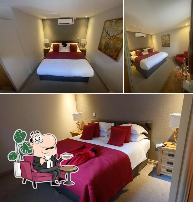 The Honingham Buck, Easton - Restaurant menu, prices and reviews