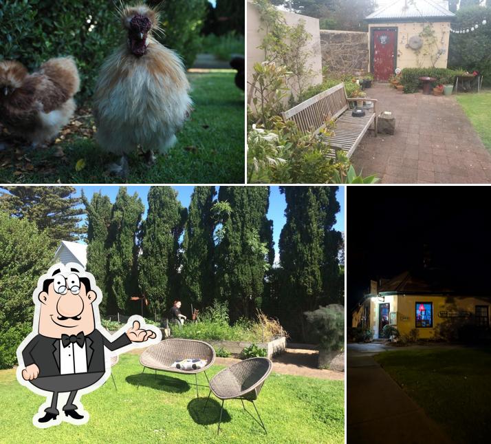 Merrijig Kitchen, Port Fairy - Restaurant menu, prices and reviews