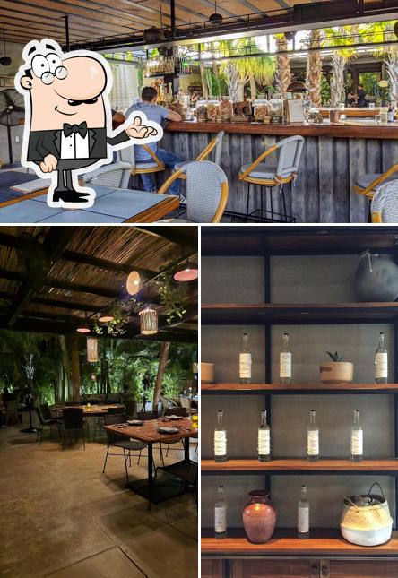 Acre Restaurant, San José del Cabo - Restaurant menu, prices and reviews