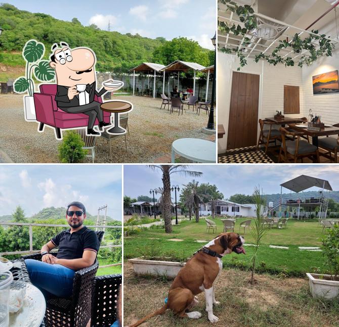 Ducks and Dogs Cafe, Gurugram - Restaurant menu, prices and reviews