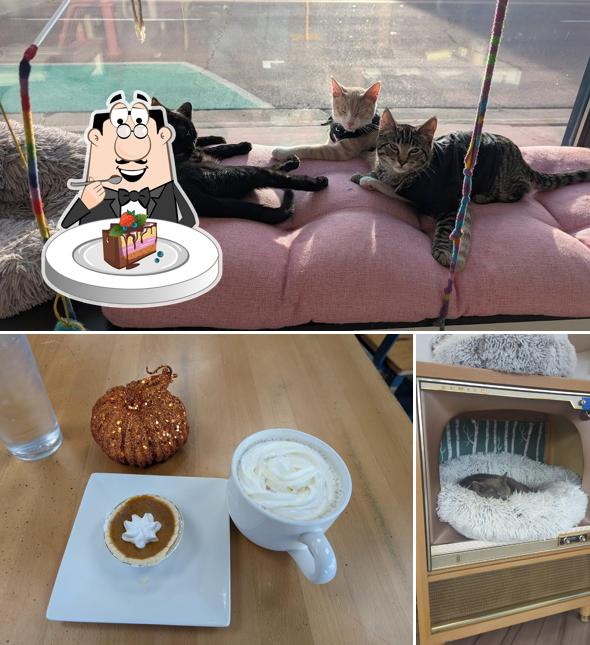 The Cattitude Café, Sioux Falls - Restaurant menu, prices and reviews