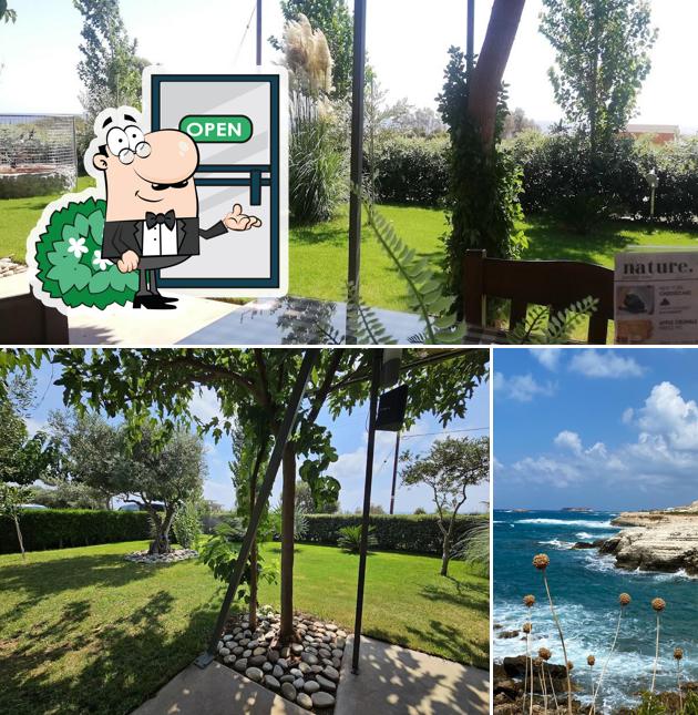 Nature Cafe Restaurant, Peyia - Restaurant menu, prices and reviews