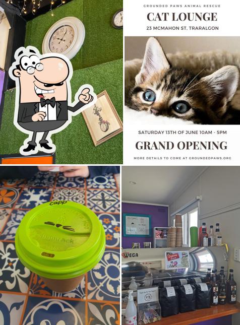 Grounded Paws Cat Cafe, Traralgon - Restaurant menu, prices and reviews