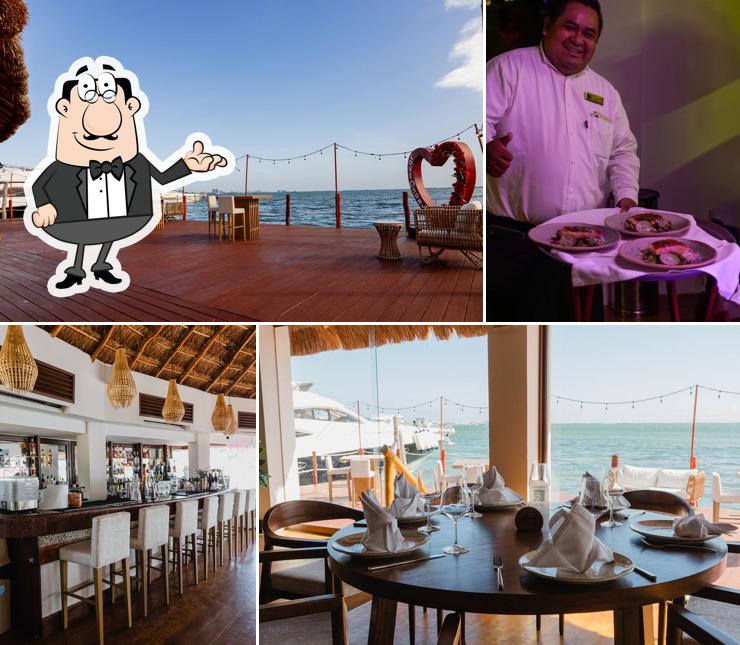 Restaurante Azúcar, Cancún - Restaurant menu, prices and reviews
