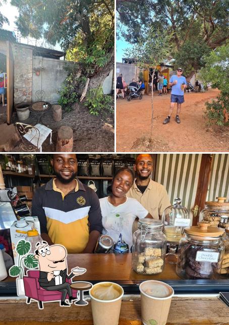 Secret Forest Café, Cape Town - Restaurant menu, prices and reviews