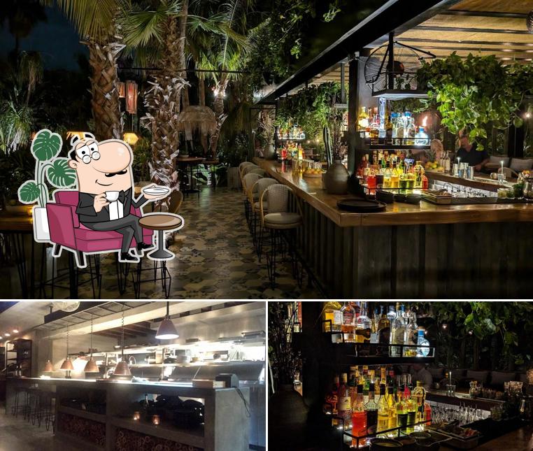 Acre Restaurant, San José del Cabo - Restaurant menu, prices and reviews