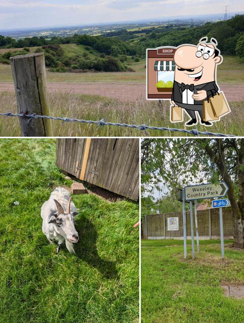 Lizzie’s Farm, Bromsgrove - Restaurant menu, prices and reviews