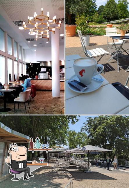 Park Cafè, Köln - Speisekarte, Preise und Bewertungen