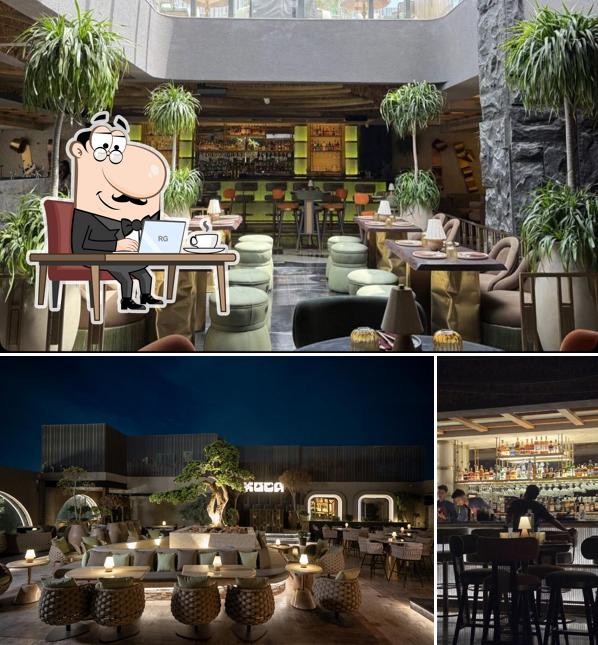 KOCA, Gurugram - Restaurant menu, prices and reviews
