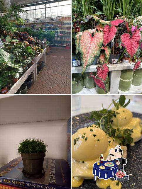 Melbicks Garden Centre, Coleshill - Restaurant menu, prices and reviews