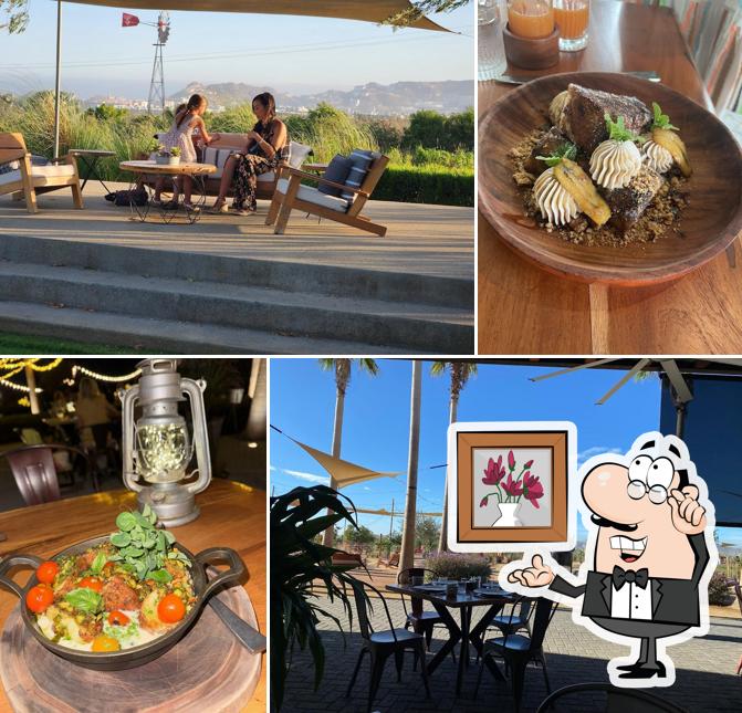 El Huerto Farm to Table, Cabo San Lucas - Restaurant menu, prices and ...