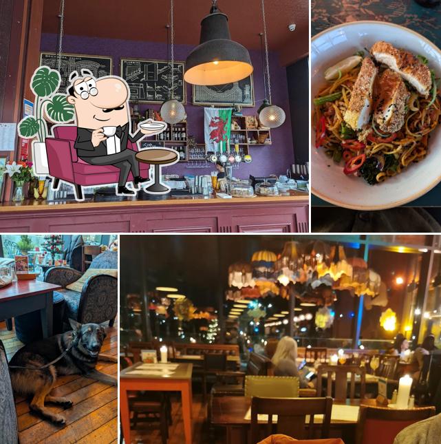Gatto Lounge, Pontypridd - Restaurant menu, prices and reviews