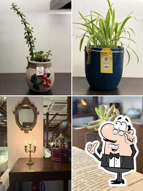Silaa The Garden Cafe, Bengaluru - Restaurant menu, prices and reviews