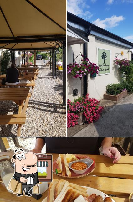 Pear Tree Pantry, Hatfield Peverel - Restaurant menu, prices and reviews