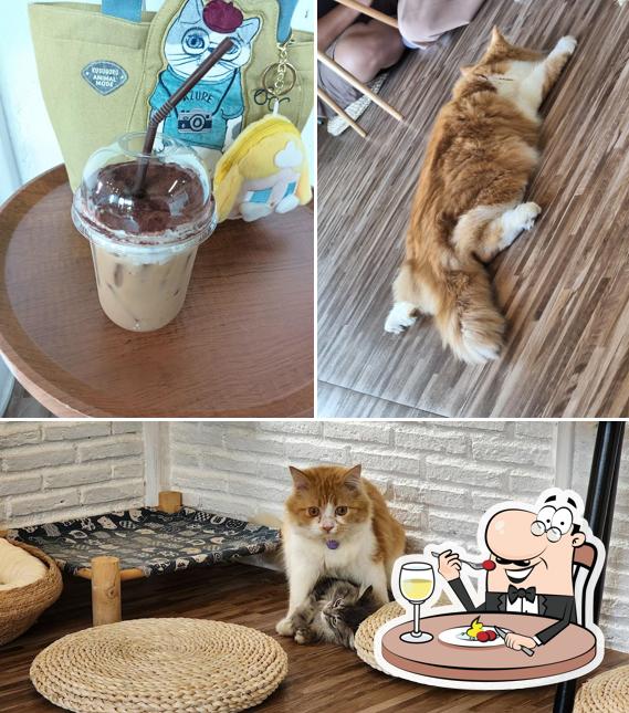 Cats Mania - Rayong คาเฟ่ทาสแมวระยอง, Rayong - Restaurant menu, prices ...