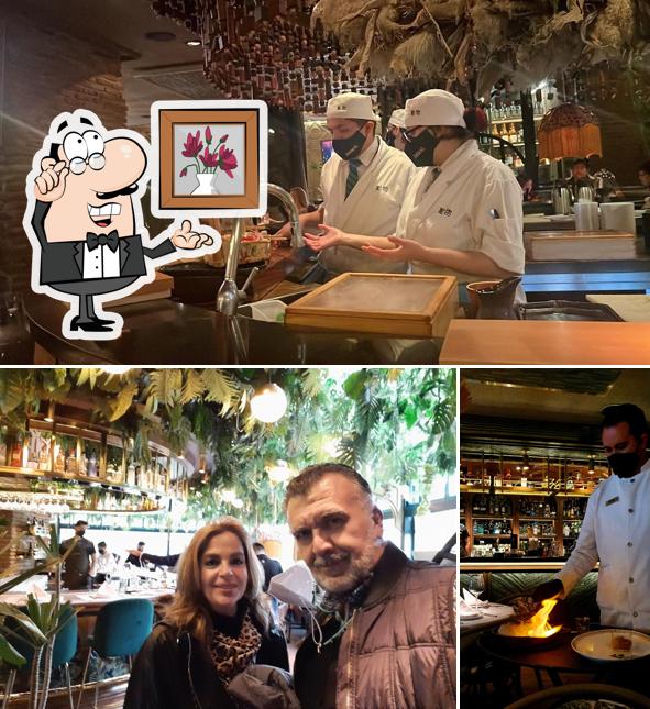 Animal Masaryk, Mexico City - Restaurant menu, prices and reviews