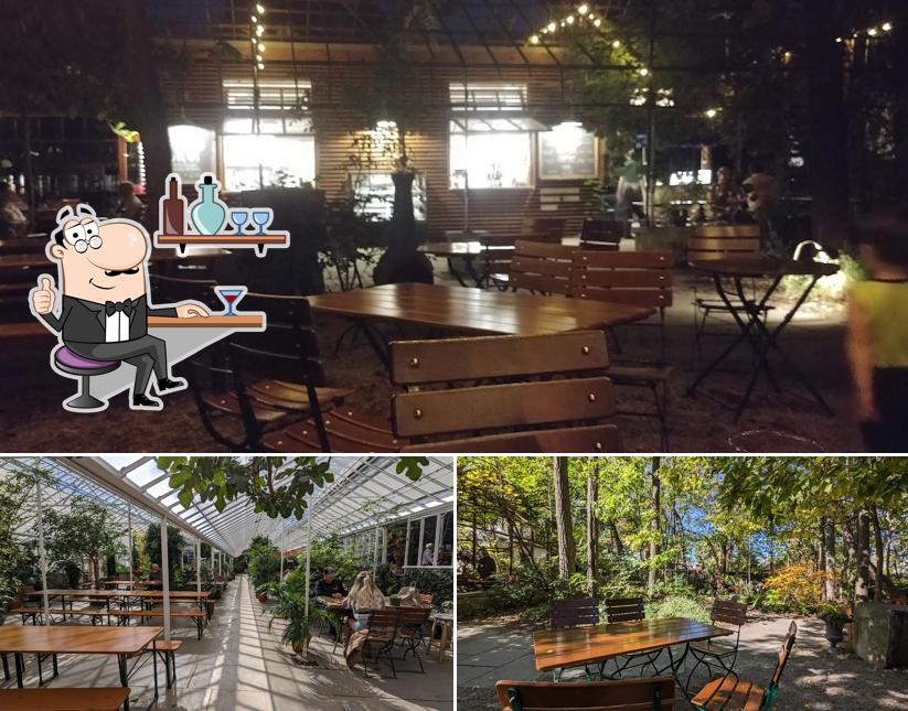 Kentucky Native Café, Lexington - Restaurant menu, prices and reviews