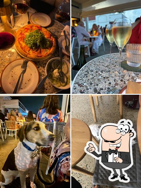 ALVINS, Paradise Point - Restaurant menu, prices and reviews