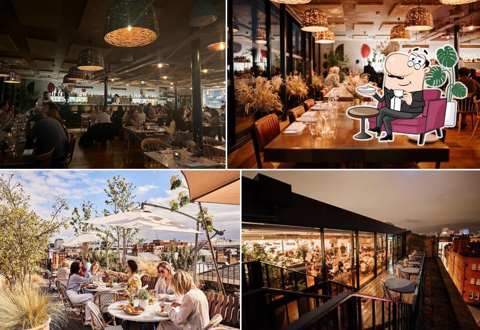Rucola at The Conduit, London - Restaurant menu, prices and reviews