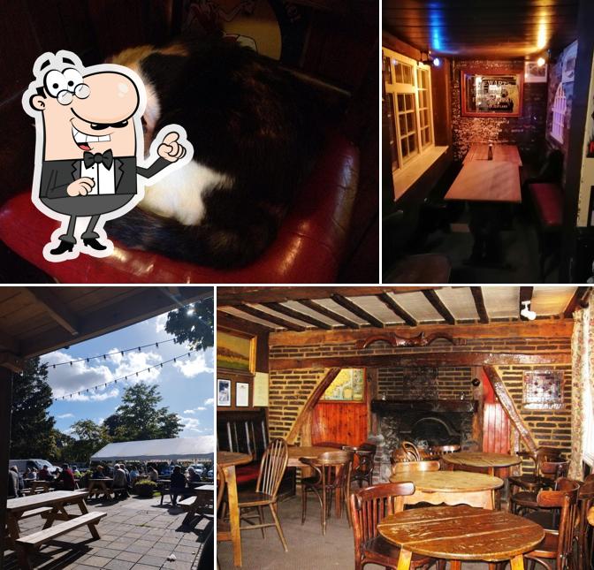 The Six Bells Chiddingly, Chiddingly - Restaurant menu, prices and reviews