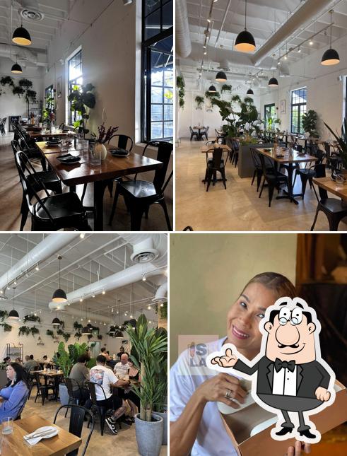 Isla & Co - WPB, West Palm Beach - Restaurant menu, prices and reviews