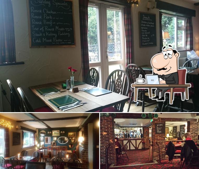 The Elm Tree Inn, Southampton - Restaurant menu, prices and reviews