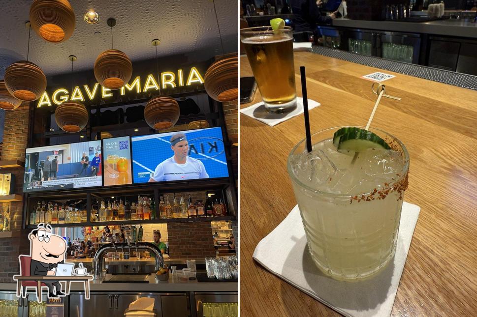 Agave Maria, Nashville - Restaurant menu, prices and reviews