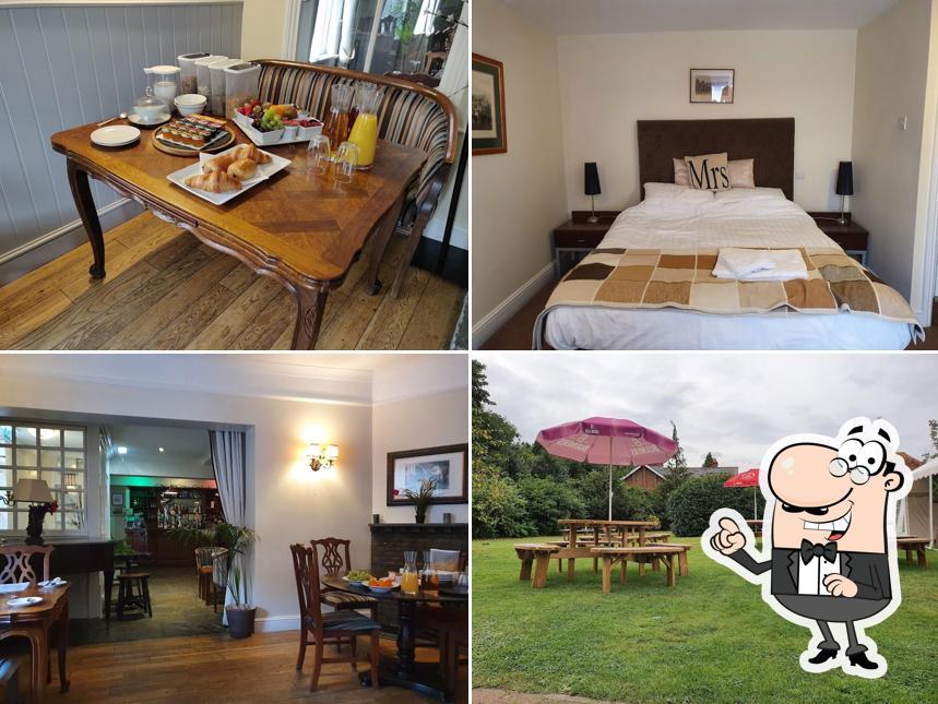 The Swan at Compton, Compton - Restaurant menu, prices and reviews
