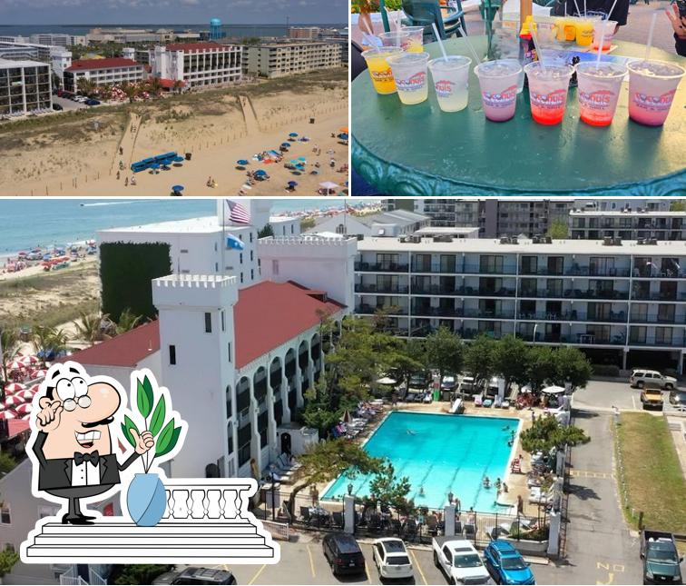 Coconuts Beach Bar & Grill, Ocean City - Restaurant menu, prices and ...