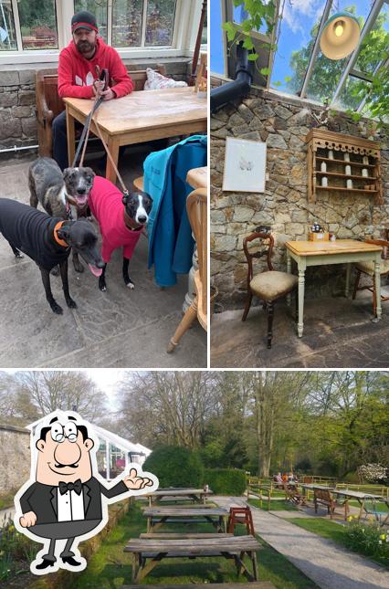 Applestore Cafe, Scorton - Restaurant menu, prices and reviews