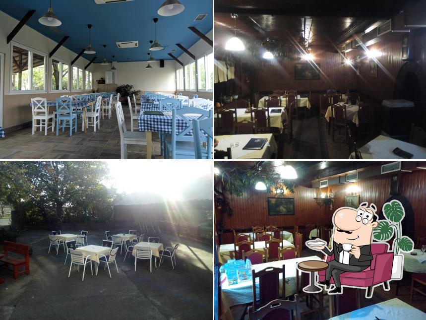 Top 5 restaurants with dobara in Bački Petrovac, january 2026 ...