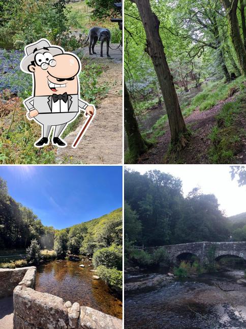 Fingle Bridge Inn, Drewsteignton - Restaurant menu, prices and reviews