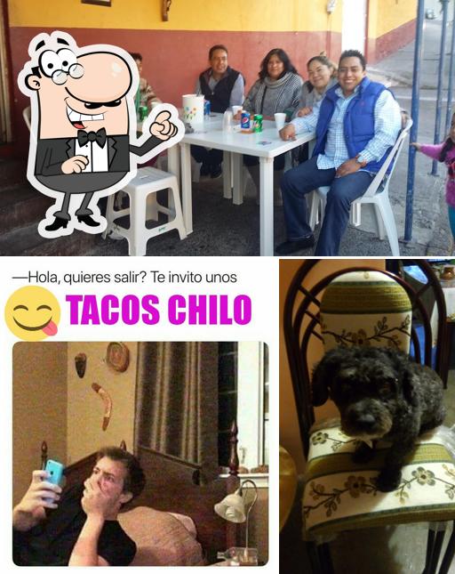 Tacos chilo, Ciudad López Mateos - Menú del restaurante, precios y reseñas