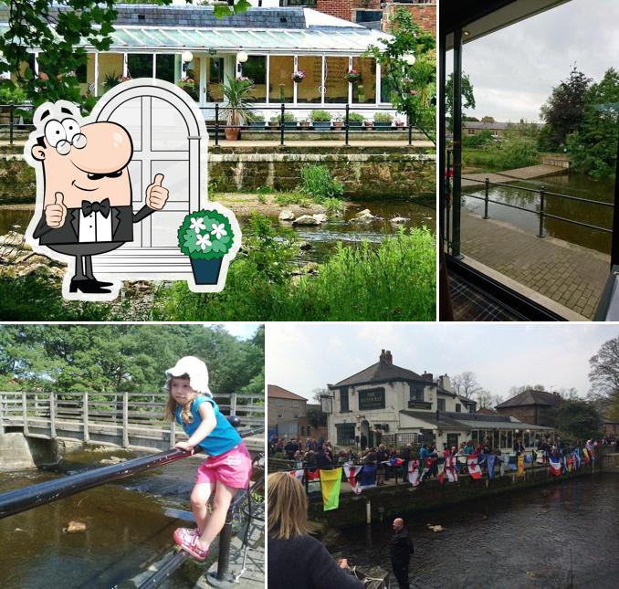 The Water Rat, Ripon - Restaurant menu, prices and reviews