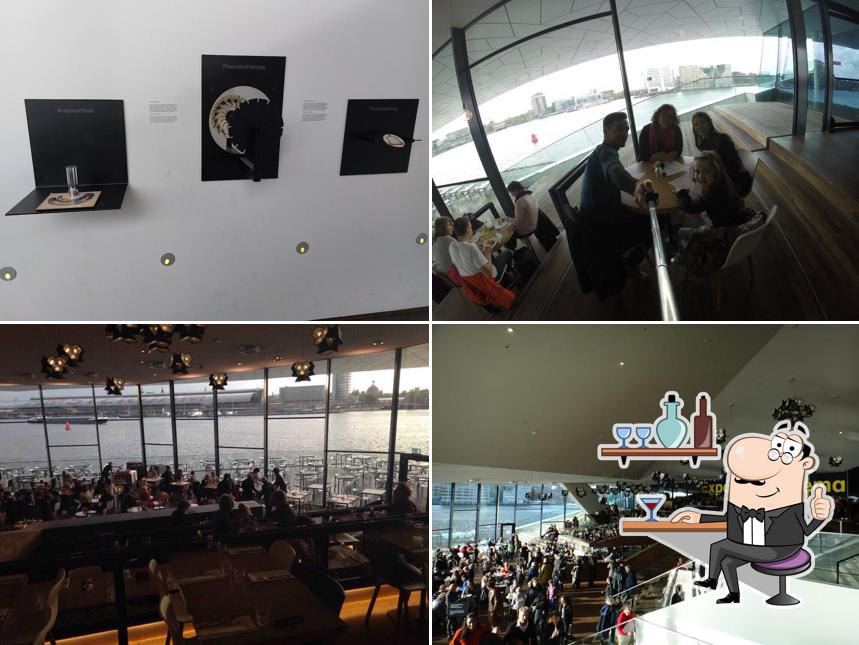 Eye Filmmuseum, Amsterdam - Restaurant menu, prices and reviews