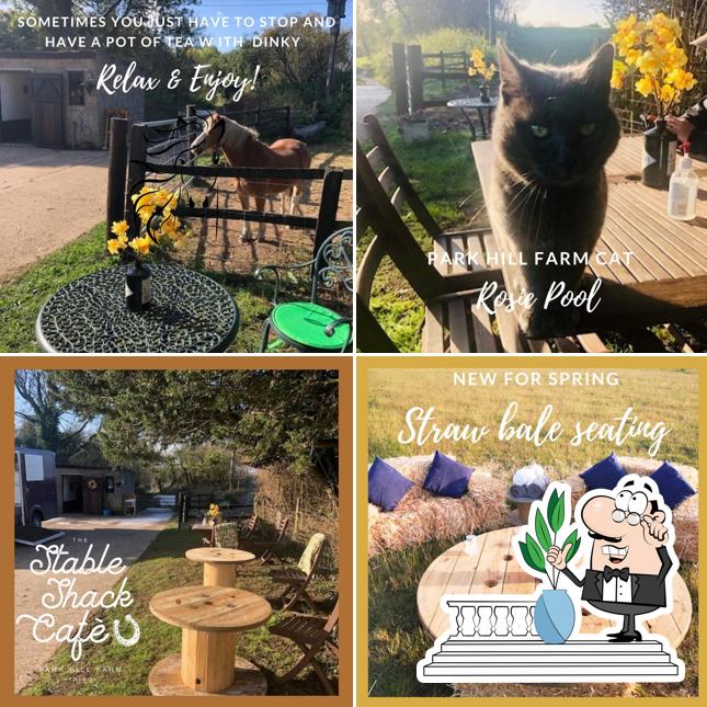 The Stable Shack Cafe, Tring - Restaurant menu, prices and reviews