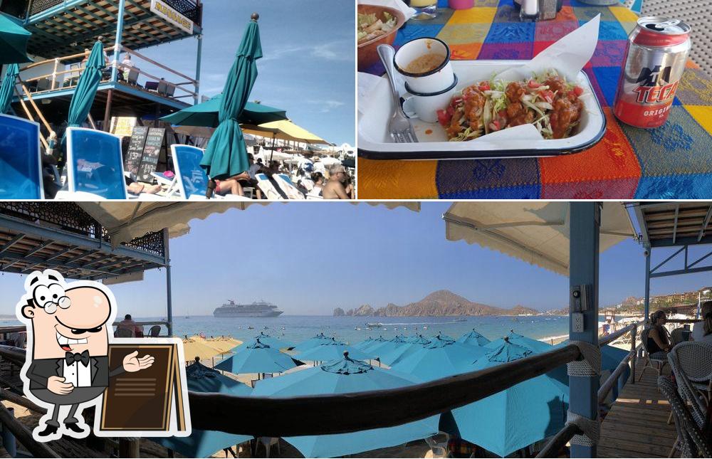 The Sand Bar, Cabo San Lucas - Restaurant menu, prices and reviews