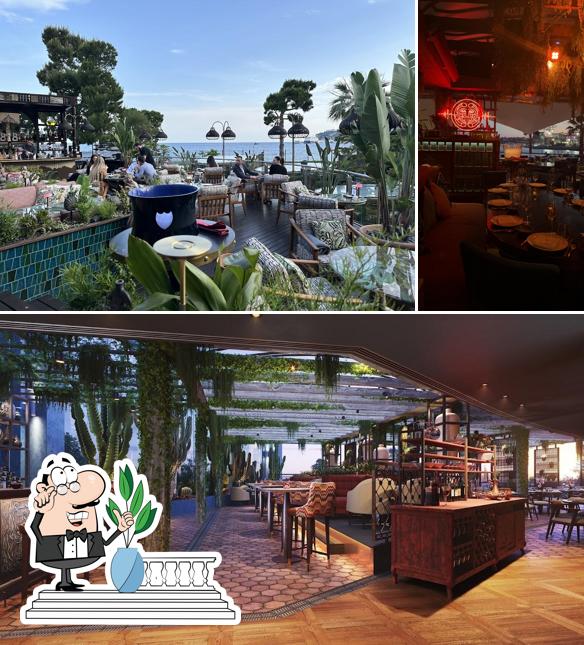 COYA Monte-Carlo, Monaco - Menu du restaurant, prix et avis