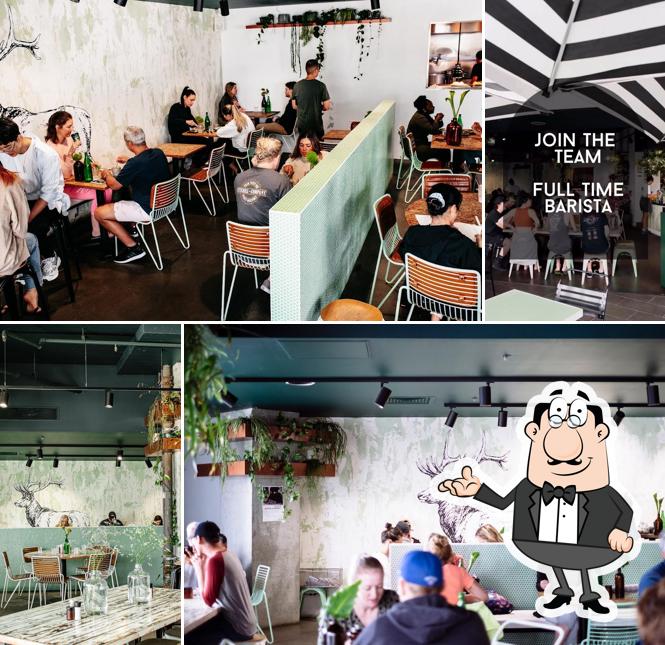 ELK Espresso cafe, Gold Coast – menu, prices & reviews