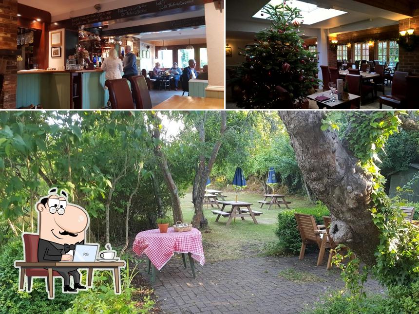 The Furze Bush Inn, Newbury - Restaurant menu, prices and reviews