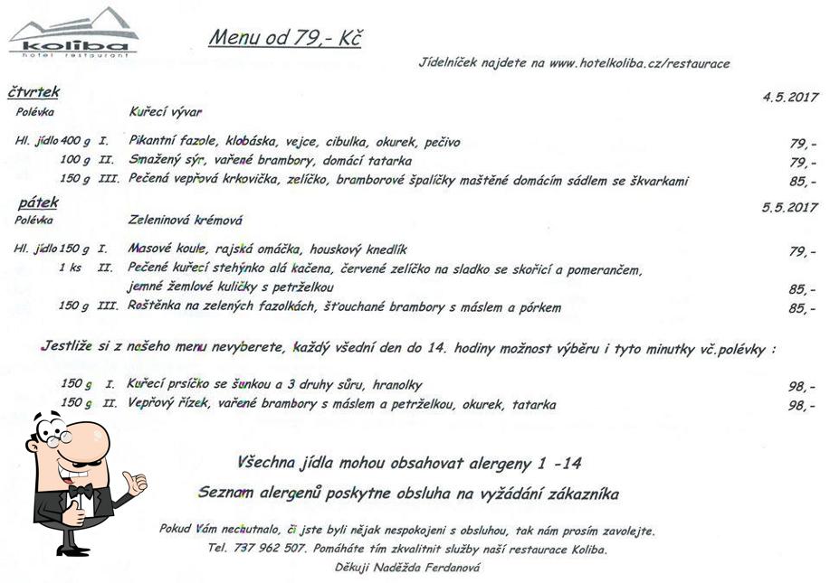 Koliba Velké Losiny, Ludvíkov - Restaurant menu, prices and reviews