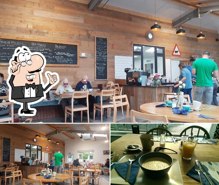 The Grazing Cow, Honiton - Restaurant menu, prices and reviews