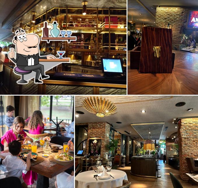 Animal Masaryk, Mexico City - Restaurant menu, prices and reviews