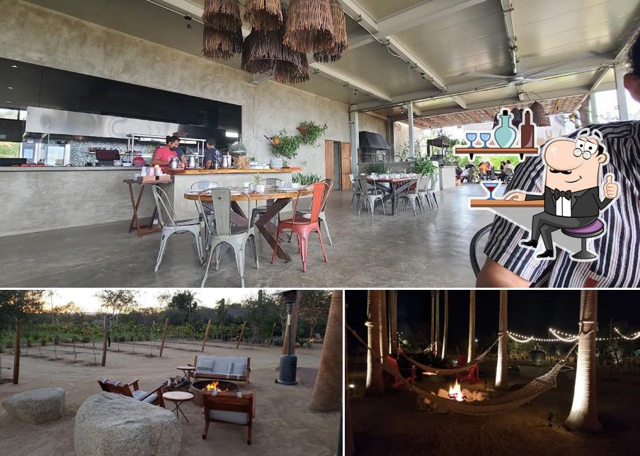 El Huerto Farm to Table, Cabo San Lucas - Restaurant menu, prices and ...