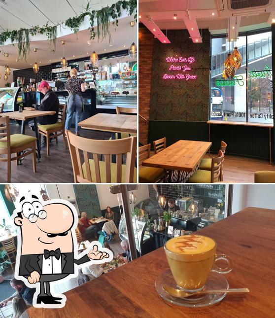 The Vibe, Liverpool - Restaurant menu, prices and reviews