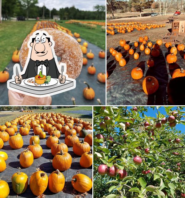 Rocky Ridge Orchard, Bowdoin - Restaurant menu, prices and reviews