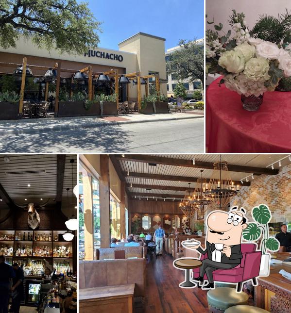 Muchacho, Dallas - Restaurant menu, prices and reviews